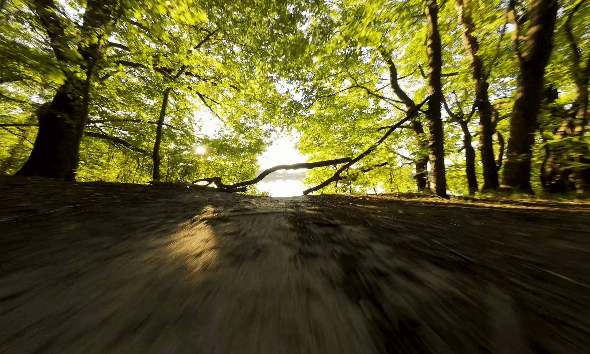 Philip Noack | Drohnenpilot | FPV Drohnenaufnahmen | Berlin